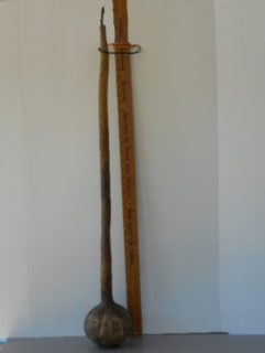 Long Handle Dipper Gourd Seed | Benjamin's Landing