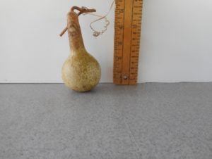 Mini Dipper Gourd Seed | Benjamin's Landing