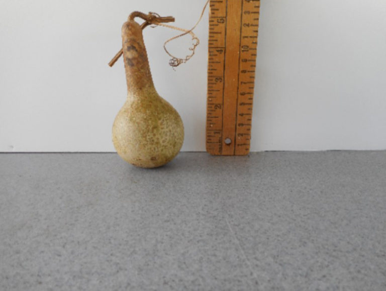 Mini Martin Gourd Seed | Benjamin's Landing